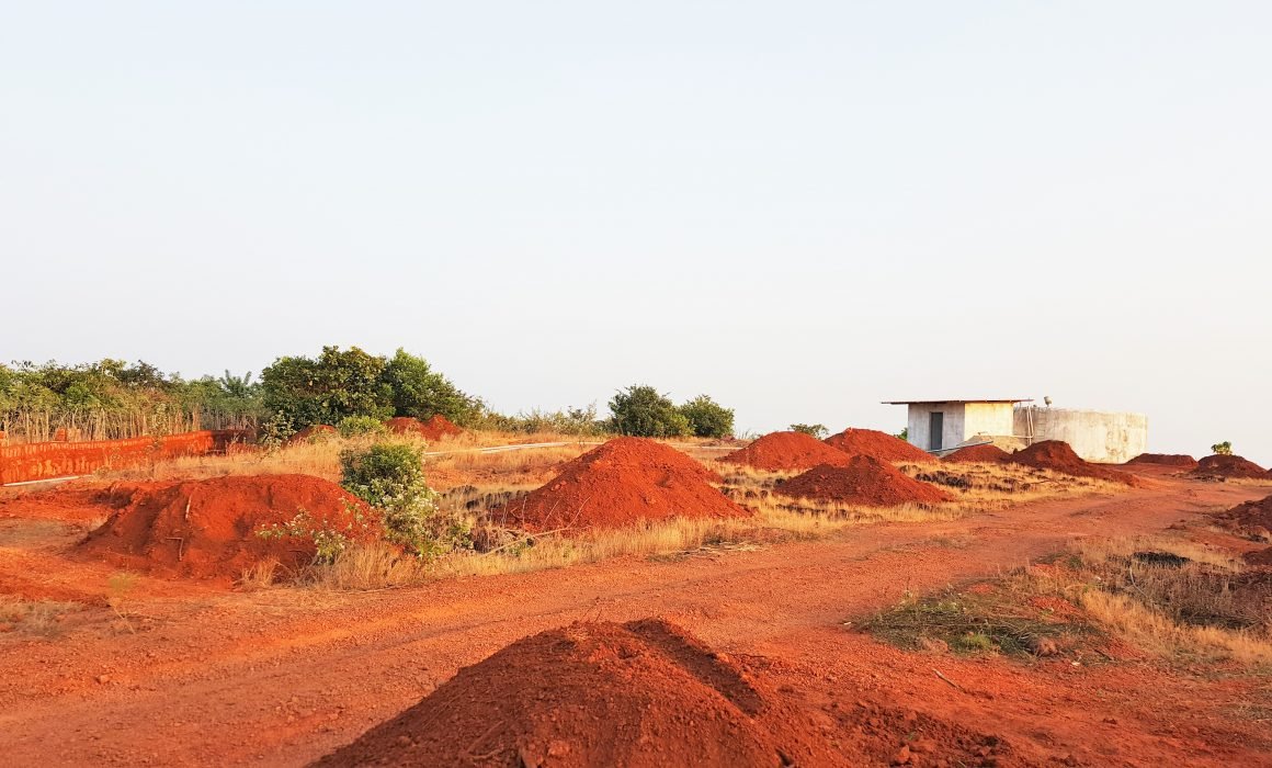 Development of Open Grazing Field - Save Indian Cows | Save Cows ...