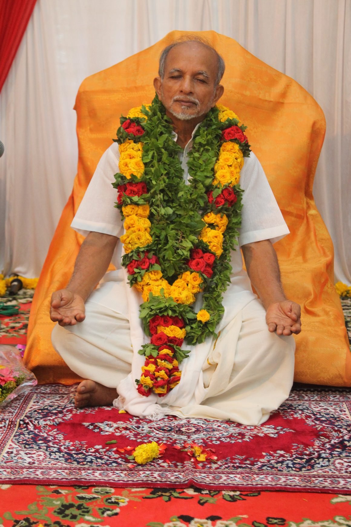 Guidance by Guru, Is it essential for meditation practice? Guruji Explains