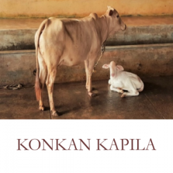 Konkan Kapila - Surabhivana Gaushala | Donate To Feed And Save Cows ...