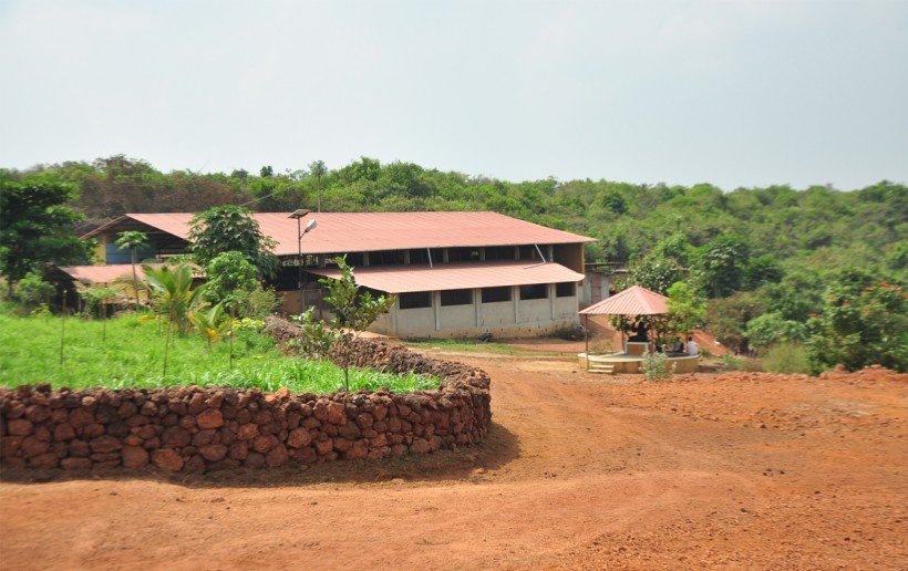 Surabhivana - Surabhivana Gaushala | Donate To Feed And Save Cows | Non ...